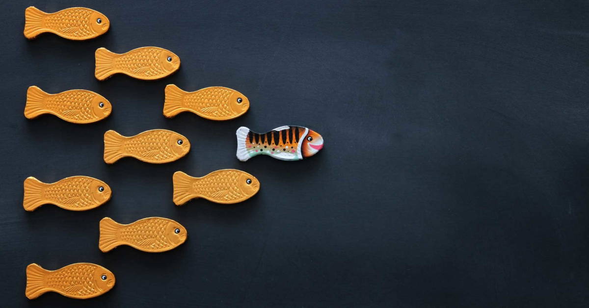 Het Bridge Assessment Systeem | TestGroup